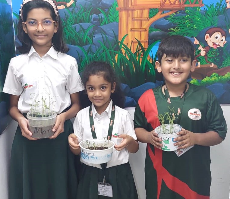 Talent show – Mangrove School